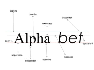 4. typographic terms vy pham | PPT