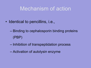 4. cephalosporins | PPT