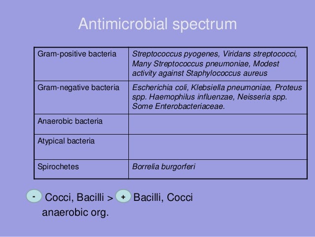 4. cephalosporins