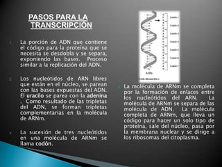 4.2 código genético y sintesis de proteinas | PPTX