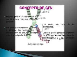 4.2 código genético y sintesis de proteinas | PPTX