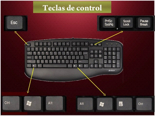 4 Uso Y Manejo Correcto Del Teclado Sus Partes Y Teclado Guia Images