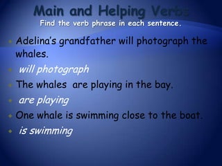 4.3.2 adelina's whale | PPTX