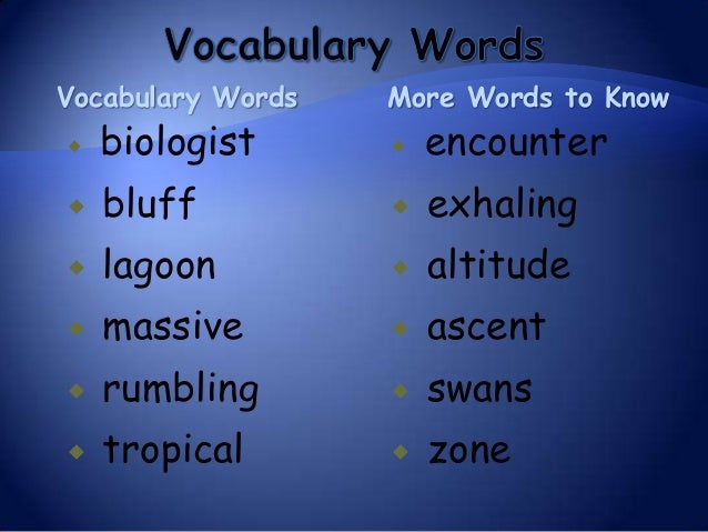 4.3.2 adelina's whale