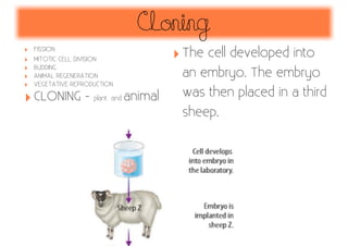 Asexual Reproduction | PDF