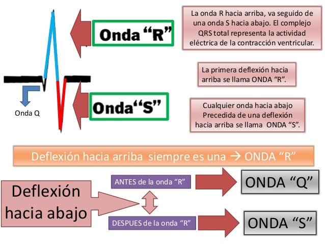 4.electrocardiograma normal