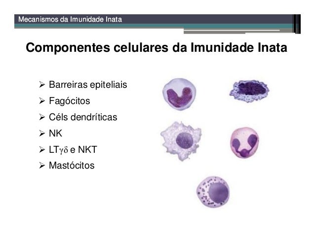 4. mec. efetores da imunidade inata