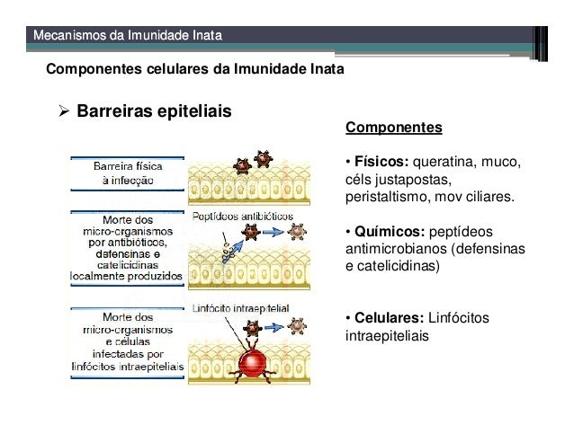 4. mec. efetores da imunidade inata