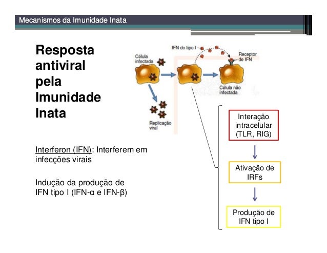 4. mec. efetores da imunidade inata