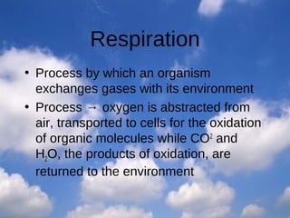 4. the oxygen cycle | PPT