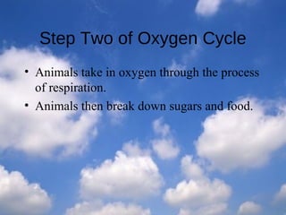 Oxygen Cycle Steps