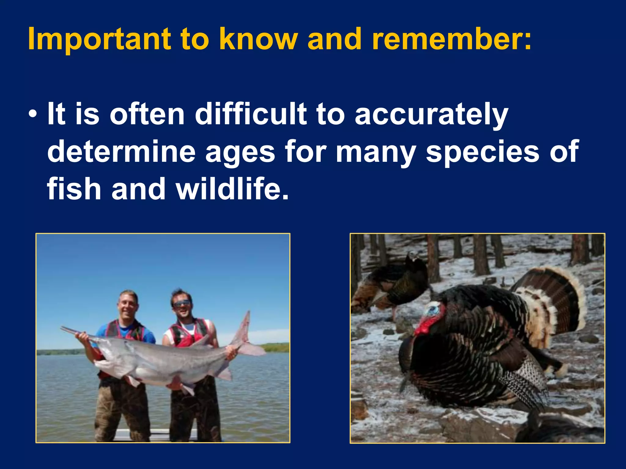 4. determining age, growth and sex of fish and wildlife | PPTX