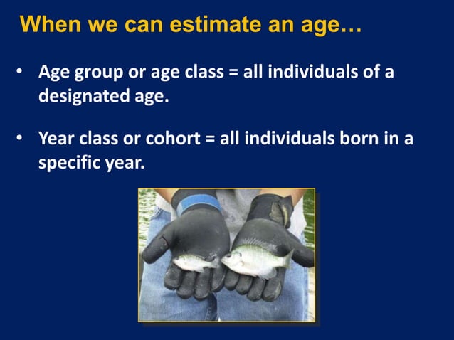 4. determining age, growth and sex of fish and wildlife | PPTX