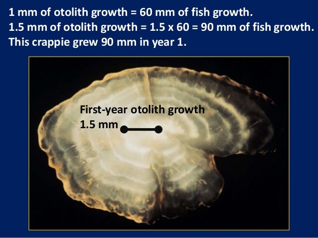 4. determining age, growth and sex of fish and wildlife