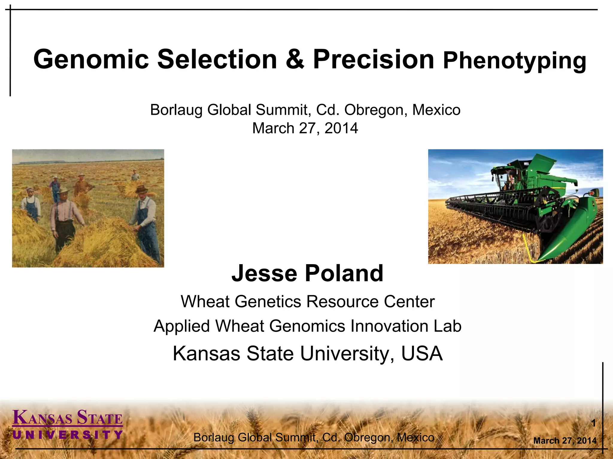 Genomic Selection & Precision Phenotyping | PDF