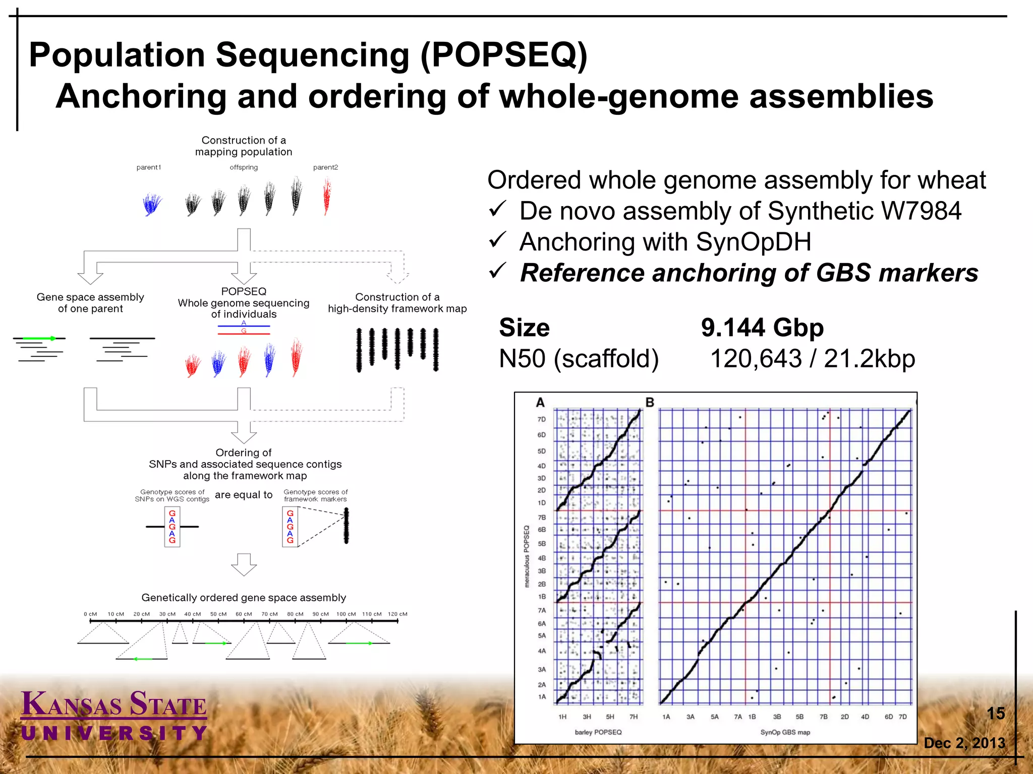 Genomic Selection & Precision Phenotyping | PDF
