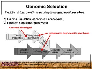 Genomic Selection & Precision Phenotyping | PDF