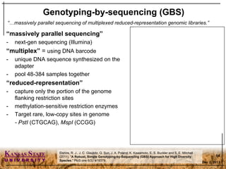 Genomic Selection & Precision Phenotyping | PDF