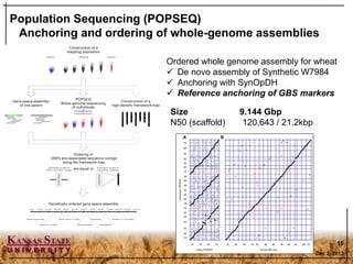 Genomic Selection & Precision Phenotyping | PDF | Genetics | Science