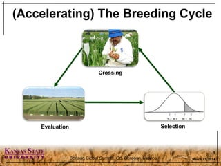 Genomic Selection & Precision Phenotyping | PDF