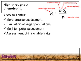 Genomic Selection & Precision Phenotyping | PDF