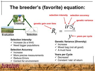 Genomic Selection & Precision Phenotyping | PDF