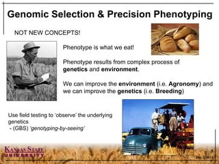 Genomic Selection & Precision Phenotyping | PDF