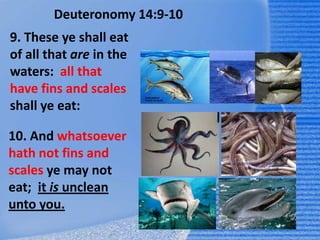 Bible study # 3: clean and unclean 1 | PPTX