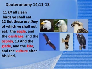 Bible study # 3: clean and unclean 1 | PPTX
