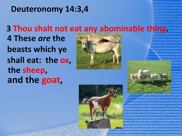 Bible study # 3: clean and unclean 1 | PPTX