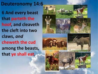 Bible study # 3: clean and unclean 1 | PPTX
