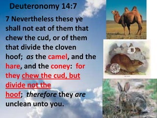 Bible study # 3: clean and unclean 1 | PPTX