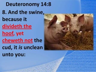 Bible study # 3: clean and unclean 1 | PPTX