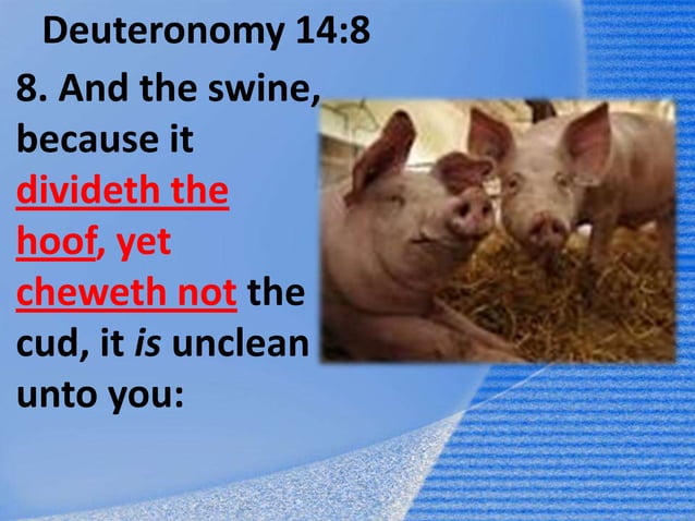 Bible study # 3: clean and unclean 1 | PPTX