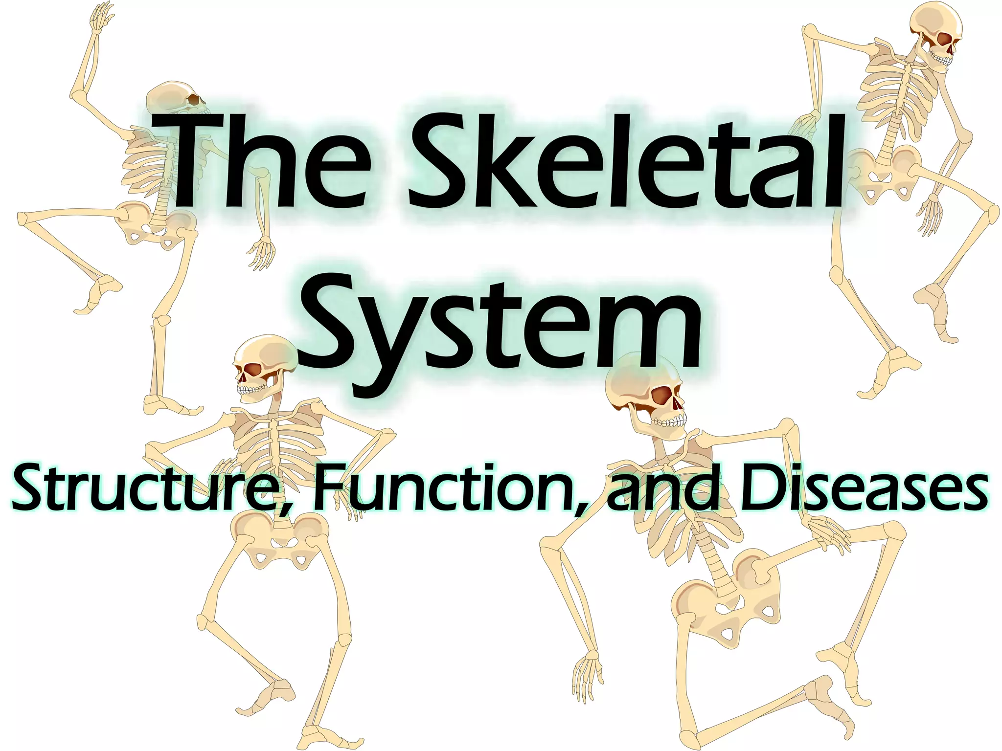 4. skeletal system | PPTX