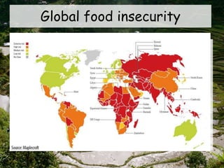 4. global hunger ap | PPTX