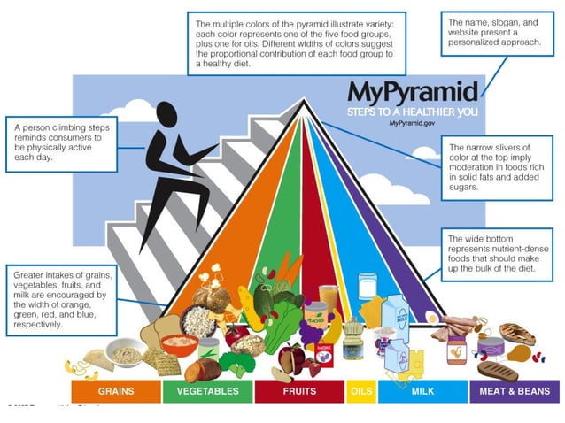 Make your own diet plan by using food paramyd | PPT