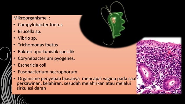 4. endometritis & metritis | PPTX