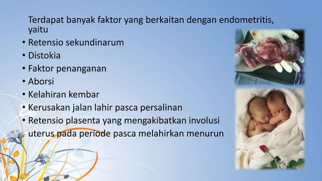 4. endometritis & metritis | PPTX