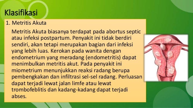 4. endometritis & metritis