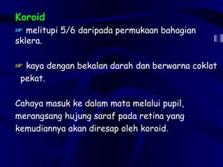 4.2 struktur & fungsi mata | PPT