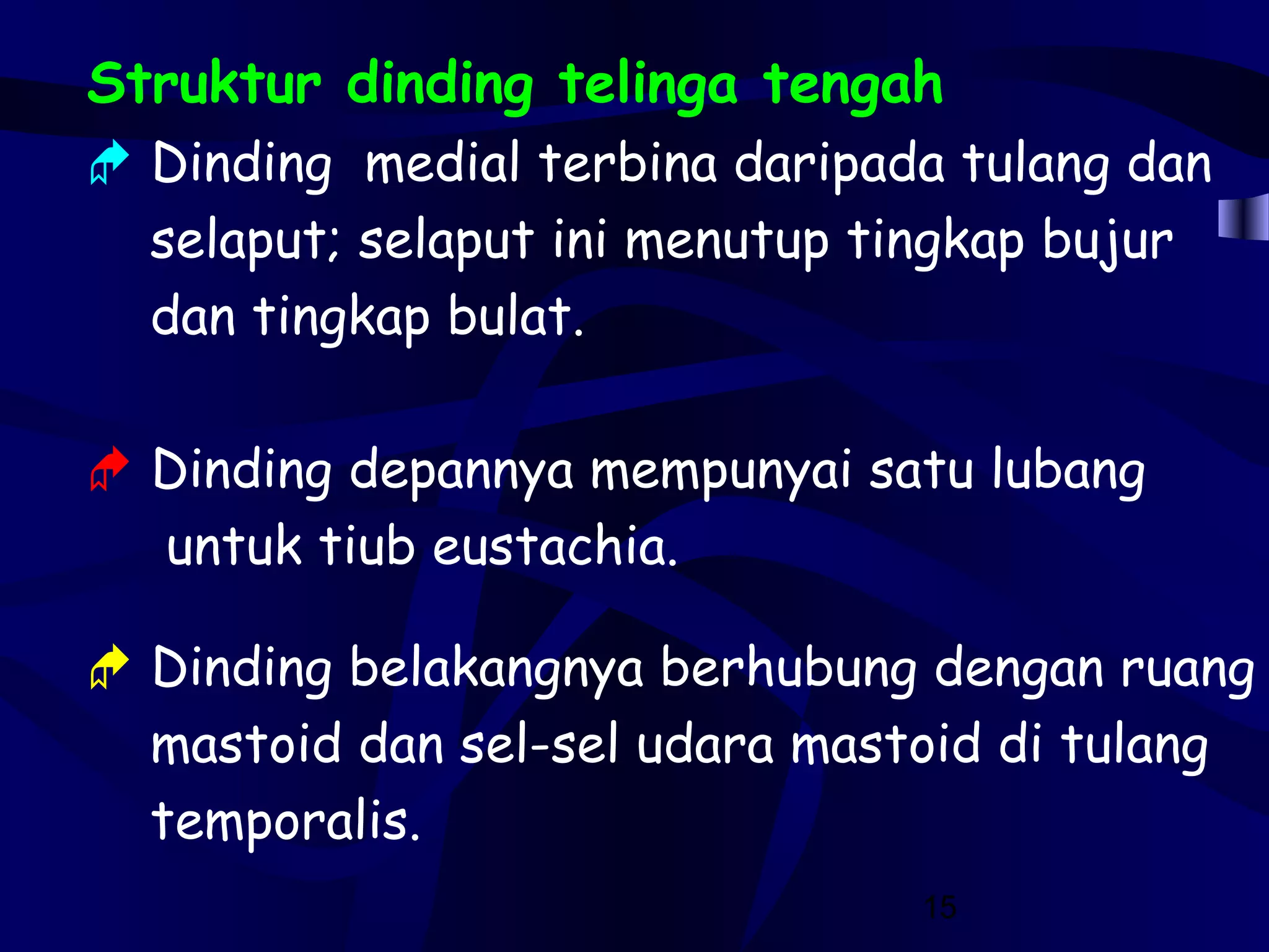 4.3 struktur & fungsi telinga | PPT