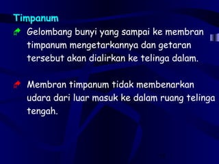 4.3 struktur & fungsi telinga | PPT