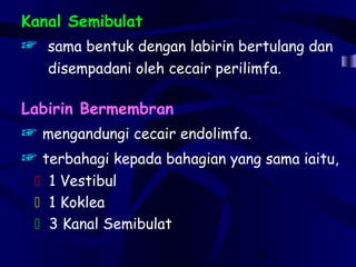 4.3 struktur & fungsi telinga | PPT