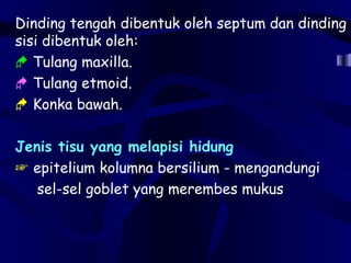 4.4 struktur & fungsi hidung, tekak | PPT