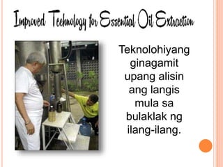 Teknolohiya | PPTX