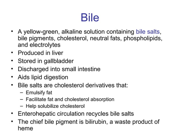 4. digestive s | PPT