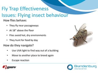 4. Placement & Maximizing The Effect of IL TS | PPTX