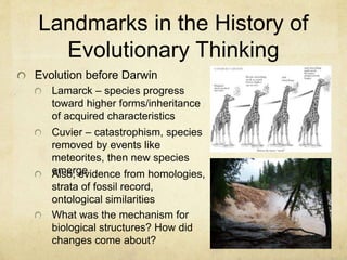 4. intro to evolution jl | PPT