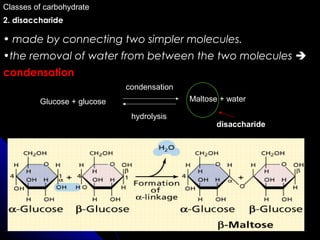 Biology form 4: water | PPT